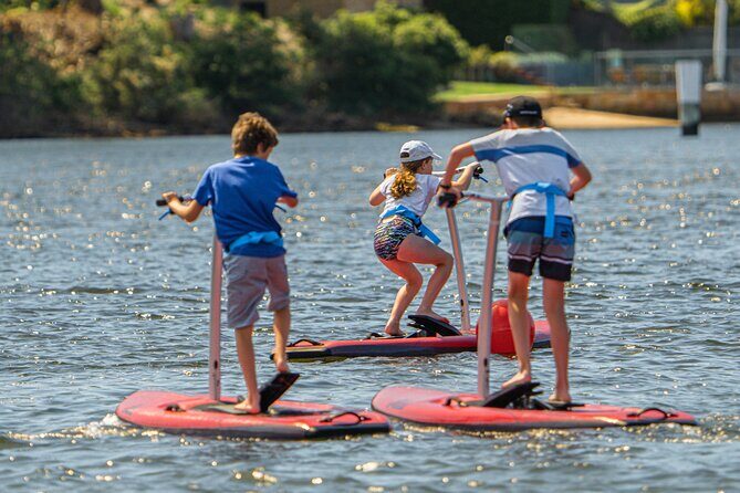 Guided Step-Up Paddle Board Tour of Narrabeen Lagoon - Final Thoughts