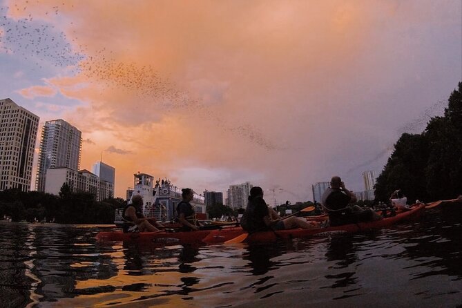 Guided Sunset Bat Kayak Tour in Austin - Customer Feedback