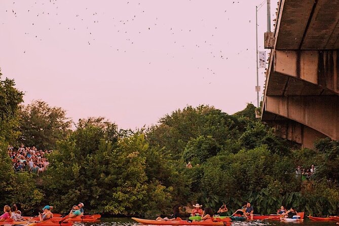 Guided Sunset Bat Kayak Tour in Austin - Recommendations and Considerations