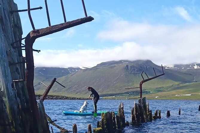 Guided SUP tour in Siglufjörður / Siglufjordur. - Key Points