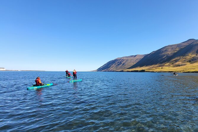 Guided SUP tour in Siglufjörður / Siglufjordur. - Why This Tour Offers Good Value