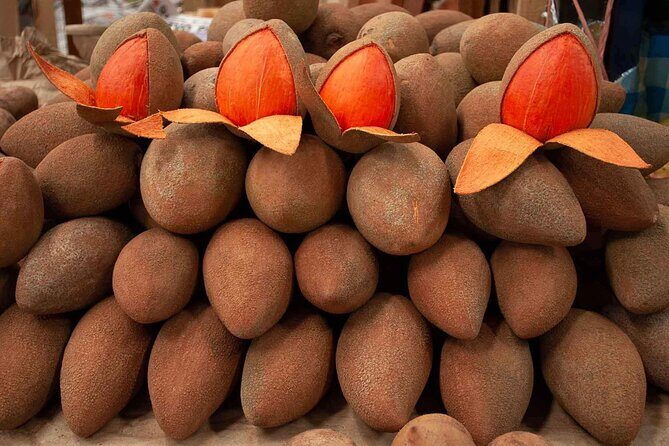 Guided Tasting of 15+ Tropical Fruits in Playa del Carmen - Key Points