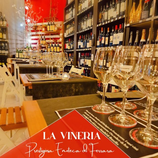 Guided tasting of local wines - An In-Depth Look at the Tour
