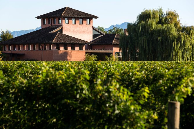 Guided tasting with our team - Exploring the Private Guided Wine Tasting in Friuli-Venezia Giulia