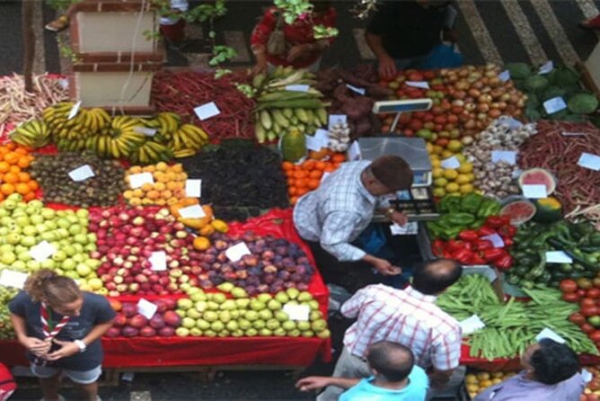 Guided Toboggan Ride and Madeira Wine Tasting Tour - Key Points