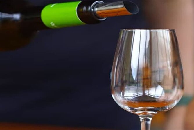 Guided Toboggan Ride and Madeira Wine Tasting Tour - Why This Tour Works Well