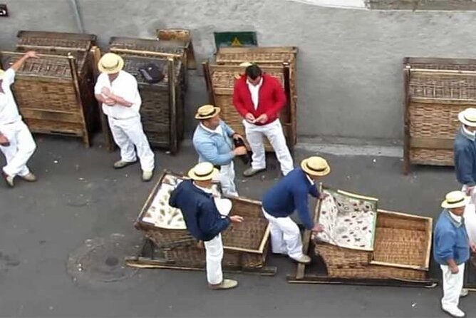 Guided Toboggan Ride and Madeira Wine Tasting Tour - Who Should Consider This Tour?