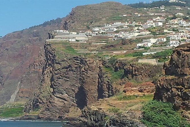 Guided Toboggan Ride and Madeira Wine Tasting Tour - The Sum Up