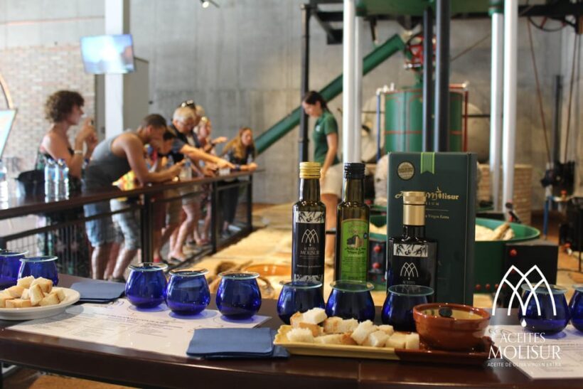 Guided tour and oil tasting at the Aceites Molisur factory - Exploring Olive Oil in Andalusia: A Close-Up at Aceites Molisur