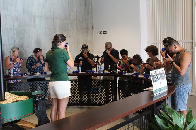 Guided Tour and Olive Oil Tasting in Alhaurín El Grande (Málaga) - Key Points