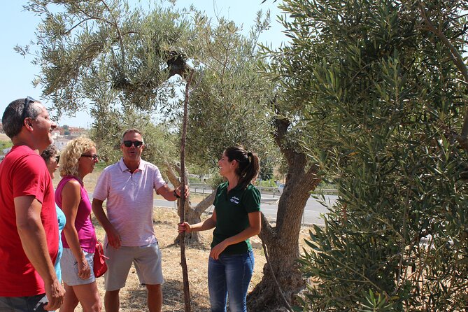 Guided Tour and Olive Oil Tasting in Alhaurín El Grande (Málaga) - Historical Significance of the Olive Oil Mill