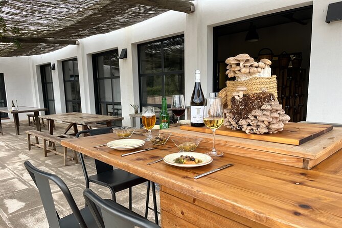 Guided Tour and Tasting in Mushroom Cultivation - About Your Stay