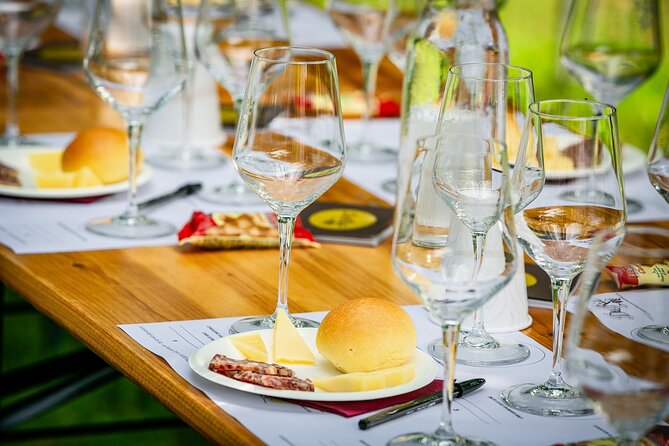 Guided Tour and wine tasting 5 wines to discover the Conegliano Valdobbiadene - A Close Look at the Tour Itself