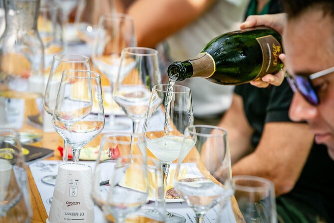 Guided Tour and wine tasting 5 wines to discover the Conegliano Valdobbiadene - Final Thoughts