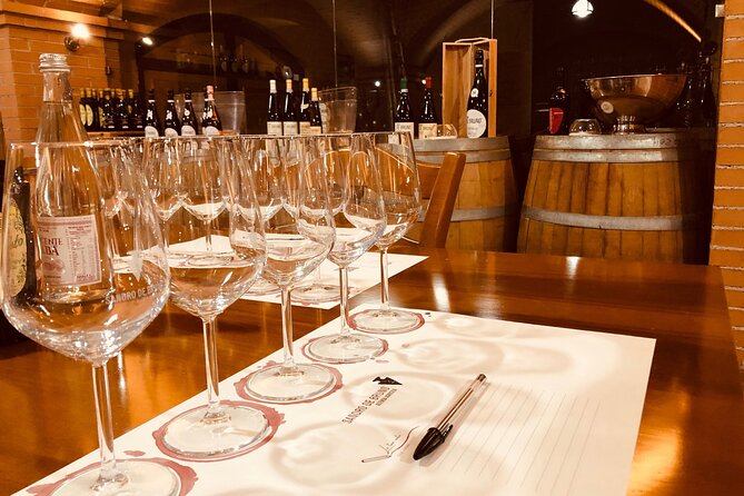 Guided Tour and Wine Tasting in the Sandro De Bruno Winery - Key Highlights of the Experience