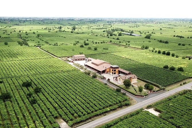 Guided Tour and Wine Tasting in the Sandro De Bruno Winery - What the Reviews Say