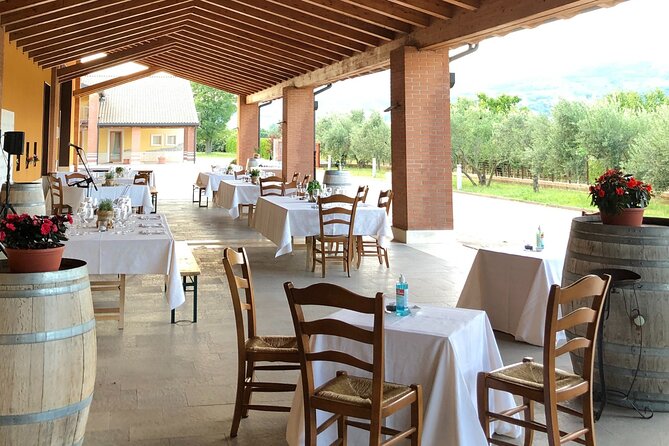 Guided Tour and Wine Tasting in the Sandro De Bruno Winery - The Value of the Experience