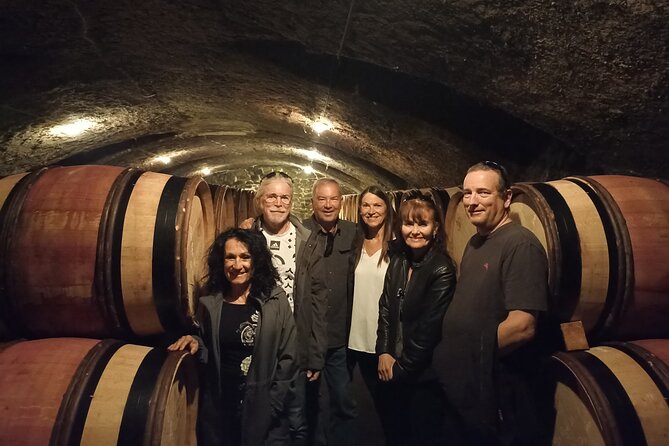Guided Tour and Wine Tasting Northern Rhône Valley - Customer Testimonials and Reviews