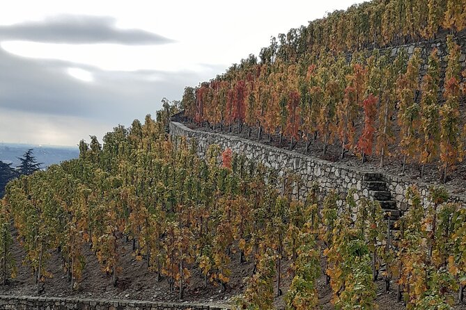 Guided Tour and Wine Tasting Northern Rhône Valley - Accessibility and Transportation Options