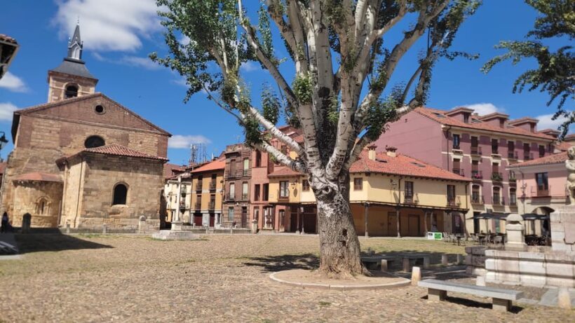 Guided tour around León - Who Should Consider This Tour?