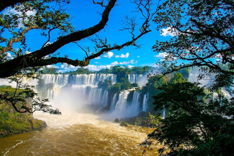 Guided Tour: Brazilian Falls and Bird Park - Key Points