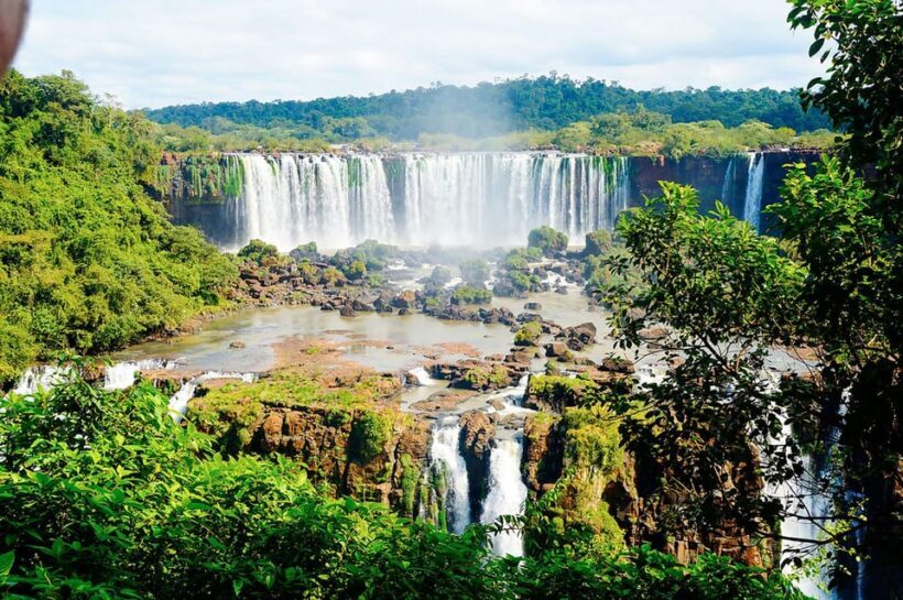 Guided Tour: Brazilian Falls and Bird Park - Final Thoughts: Is This Tour Right for You?