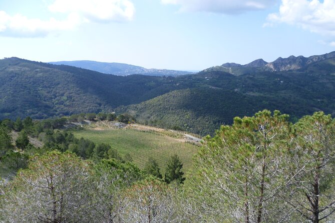 Guided Tour by E-Bike Rio Marina Mining Museum - FAQ