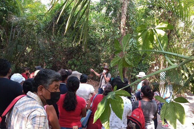 Guided Tour by the Olmec Stone Men - An In-Depth Look at the Tour Experience