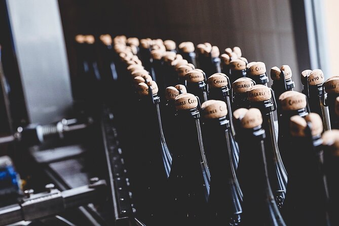 Guided Tour Cleto Chiarli With Lambrusco Tasting - Savoring the Flavors of Modena