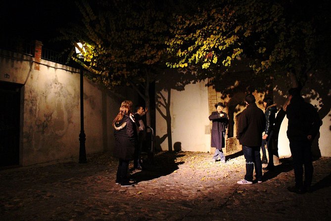 Guided tour Conspiracy in the Albaicín - Who Will Love This Tour?