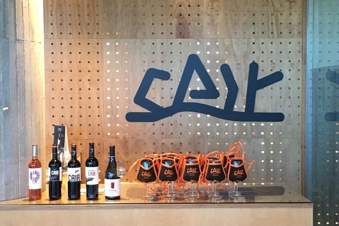 Guided Tour Glass in Hand With Wine Tasting Directly From the Barrel - The Art of Wine Tasting Directly From the Barrel