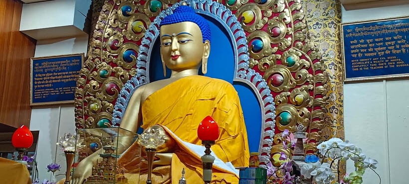 Guided Tour: Himachal Heritage - Art, Tea, Pottery & Culture - Key Points