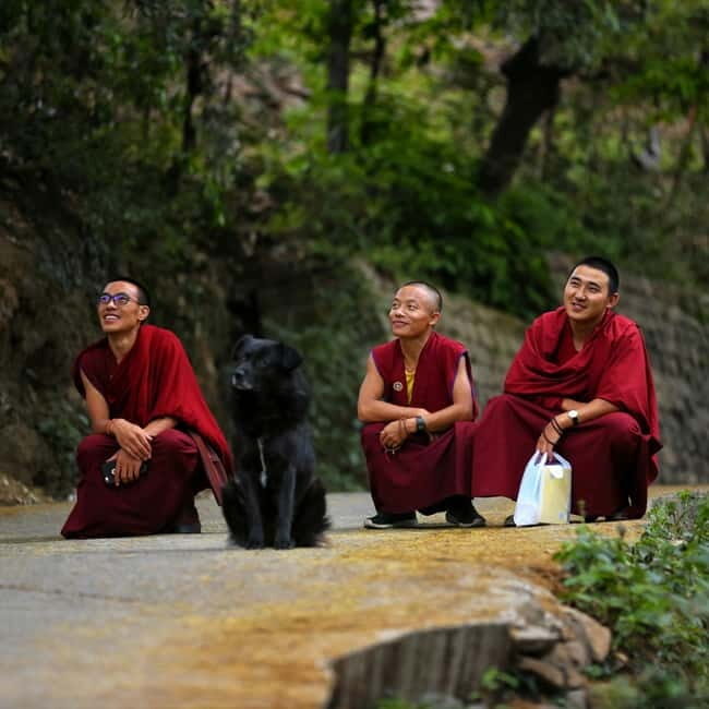 Guided Tour: Himachal Heritage - Art, Tea, Pottery & Culture - The Sum Up