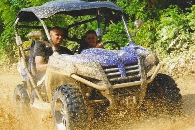 Guided Tour in Polaris (4X4) by Macao Beach, Taino Cave and Typical House - An Introduction to the Tour