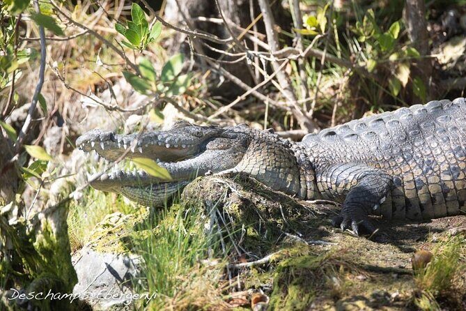 Guided Tour in Sian Ka'an Flora and Fauna Reserve - Introduction