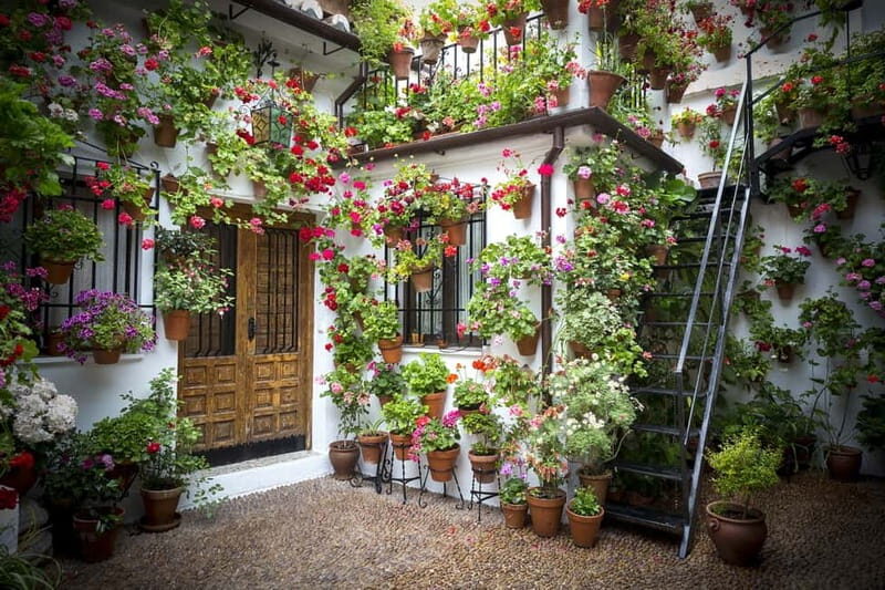 Guided tour in Spanish to the courtyards of Córdoba - An In-Depth Look at the Córdoba Courtyards Tour