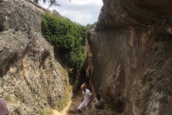 Guided Tour in the Enchanted City - Participant Guidelines and Recommendations