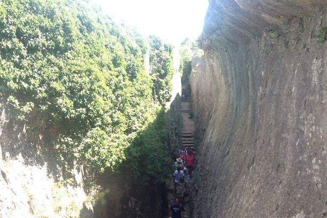 Guided Tour in the Enchanted City - Guest Reviews and Testimonials