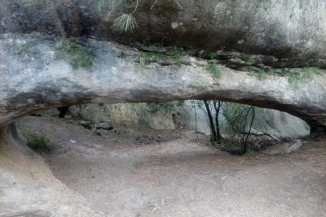 Guided Tour in the Enchanted City - Additional Information and Tips