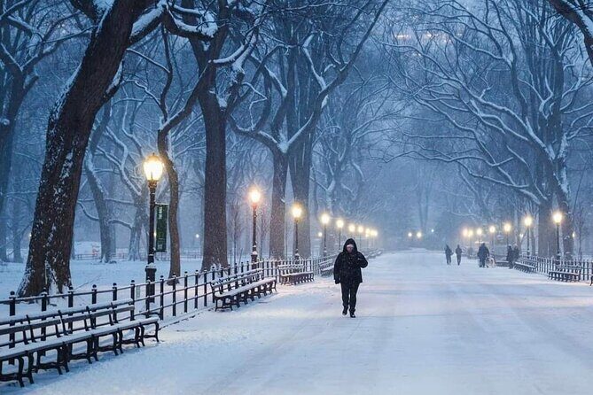 Guided Tour inside Central Park with Pedicab - Final Thoughts