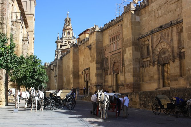Guided Tour Jewish Quarter and Mosque-Cathedral of Córdoba With Tickets - Meeting and Accessibility
