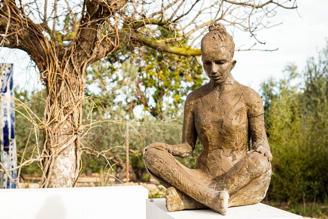 Guided Tour Museum of Contemporary Art and Sculpture Park - Inclusions