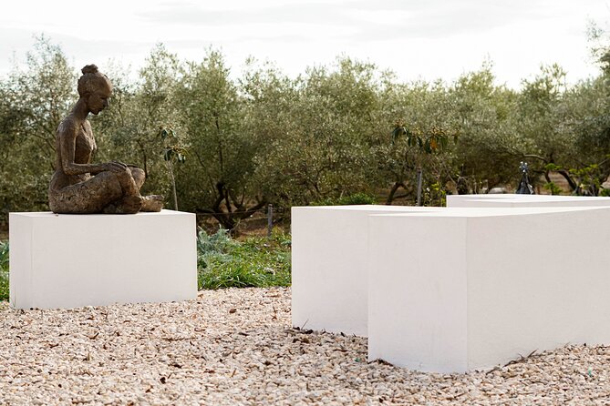 Guided Tour Museum of Contemporary Art and Sculpture Park - Meeting Details