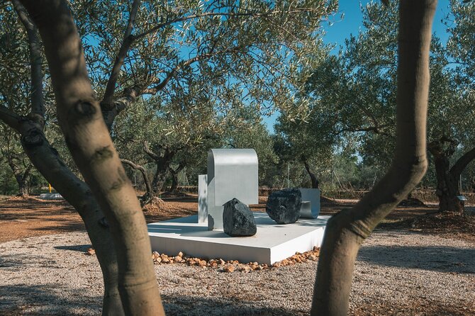 Guided Tour Museum of Contemporary Art and Sculpture Park - What to Expect