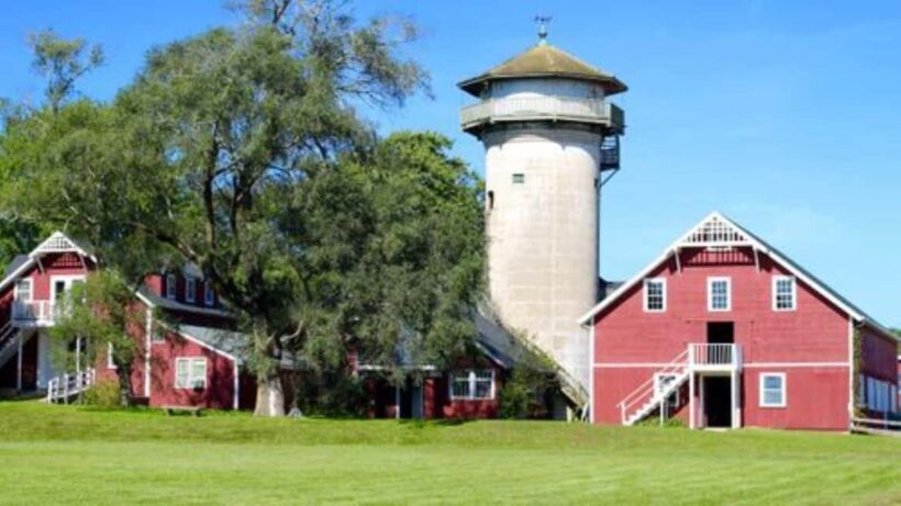 Guided Tour of a Local New England Cranberry Farm - What to Expect from the Cranberry Farm Tour