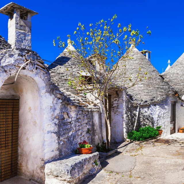 Guided Tour of Alberobello Trulli with Transfer included - What Travelers Are Saying
