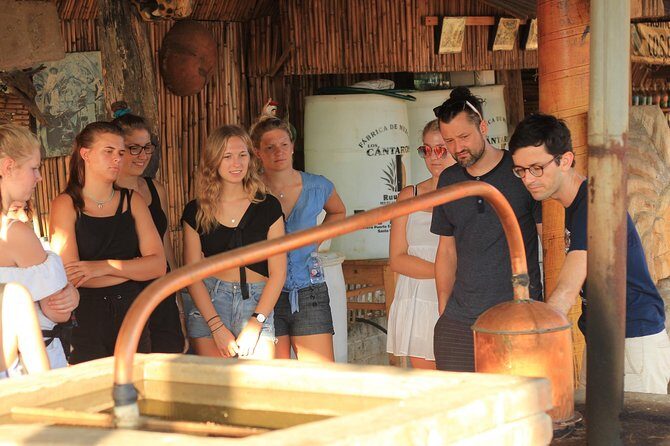 Guided tour of an ancestral Mezcal distillery with transport - An In-Depth Look at the Mezcal Tour Experience