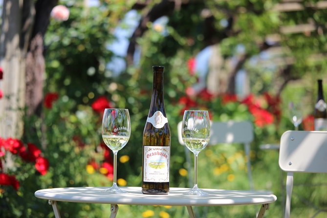 Guided Tour of Bodegas Granbazán - Whats Included