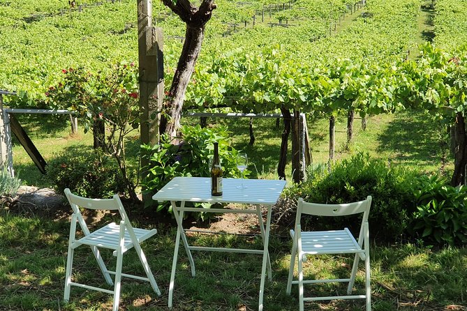Guided Tour of Bodegas Granbazán - Architectural Highlights
