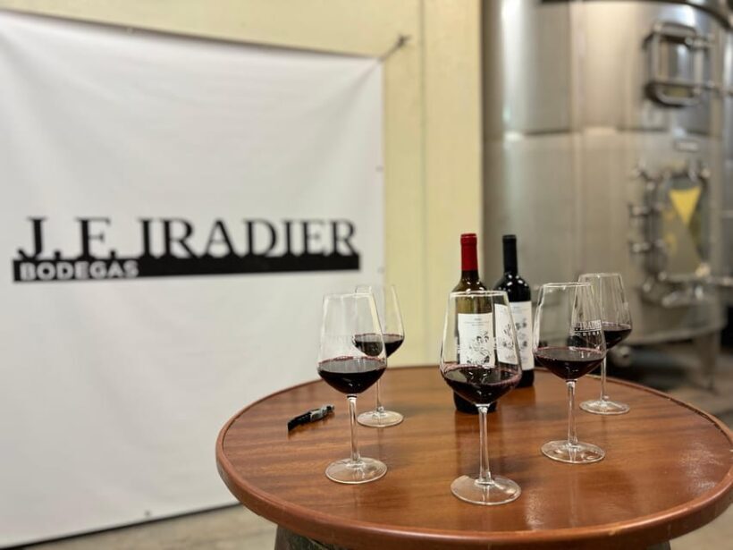 Guided tour of Bodegas J.F. Iradier, Rioja Alavesa - Key Points